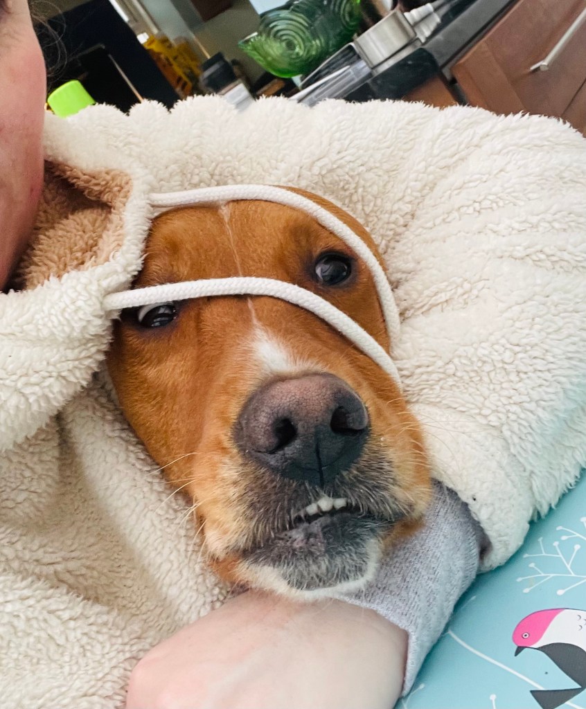 We’re back… – Emma Kavanagh